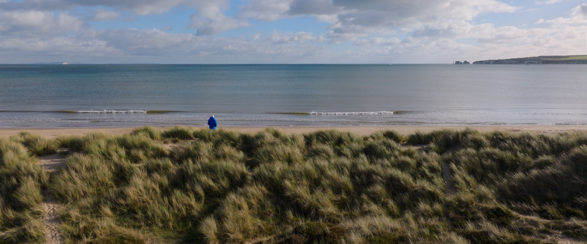 Ocean with David Attenborough | Official Website | 8 May 2025