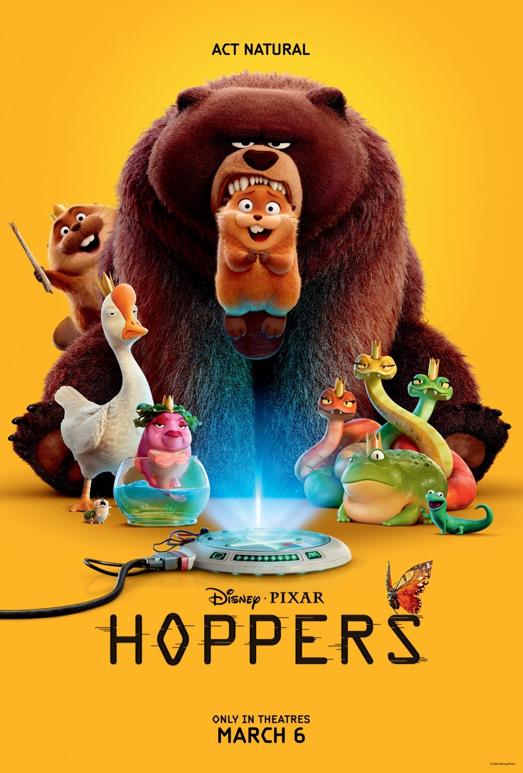 Hoppers | Official Website | 6 March 2026