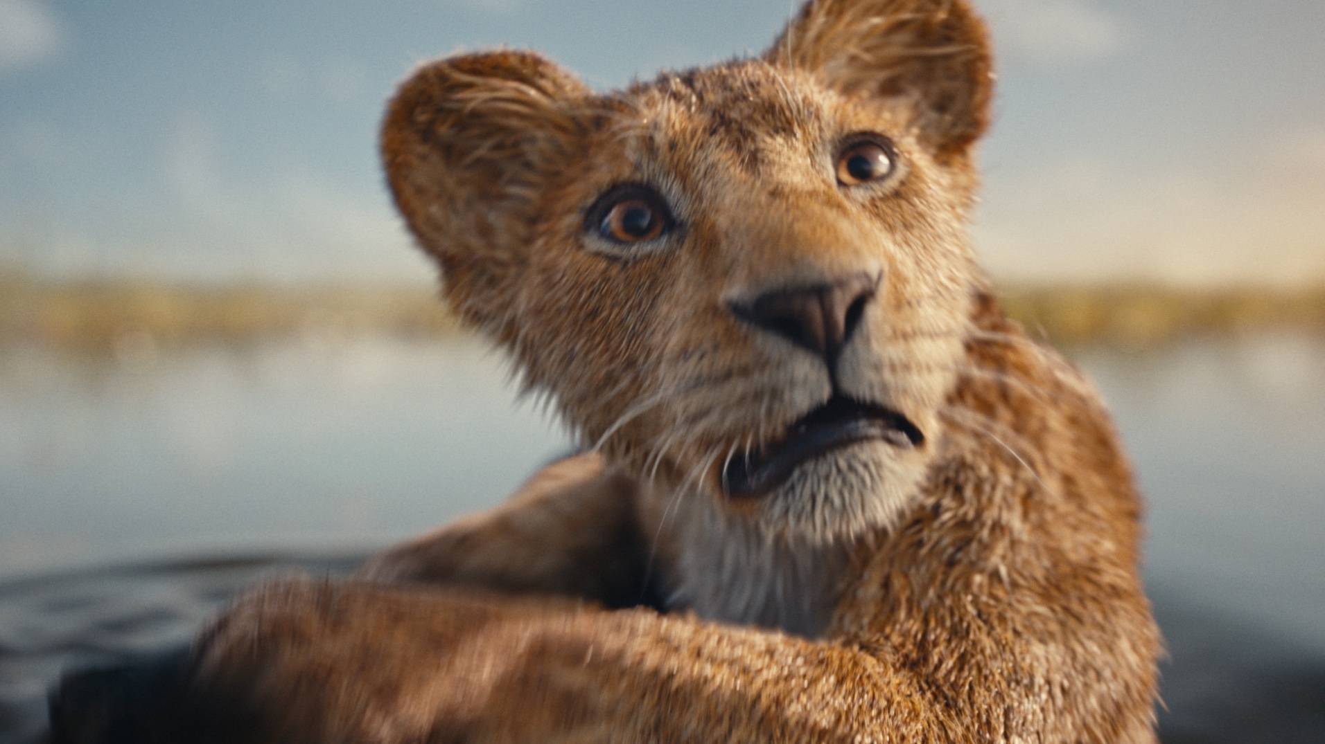 Mufasa: The Lion King | Official Website | 20 December 2024