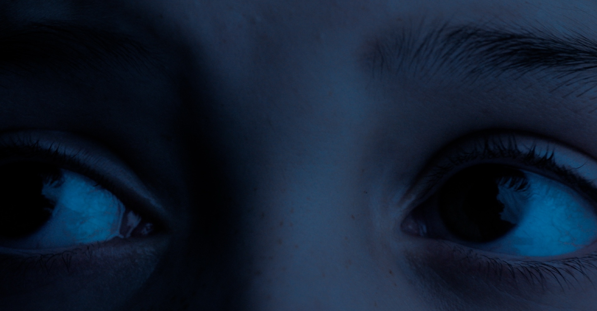 Dust Bunny | Official Website | Now Playing In Theaters