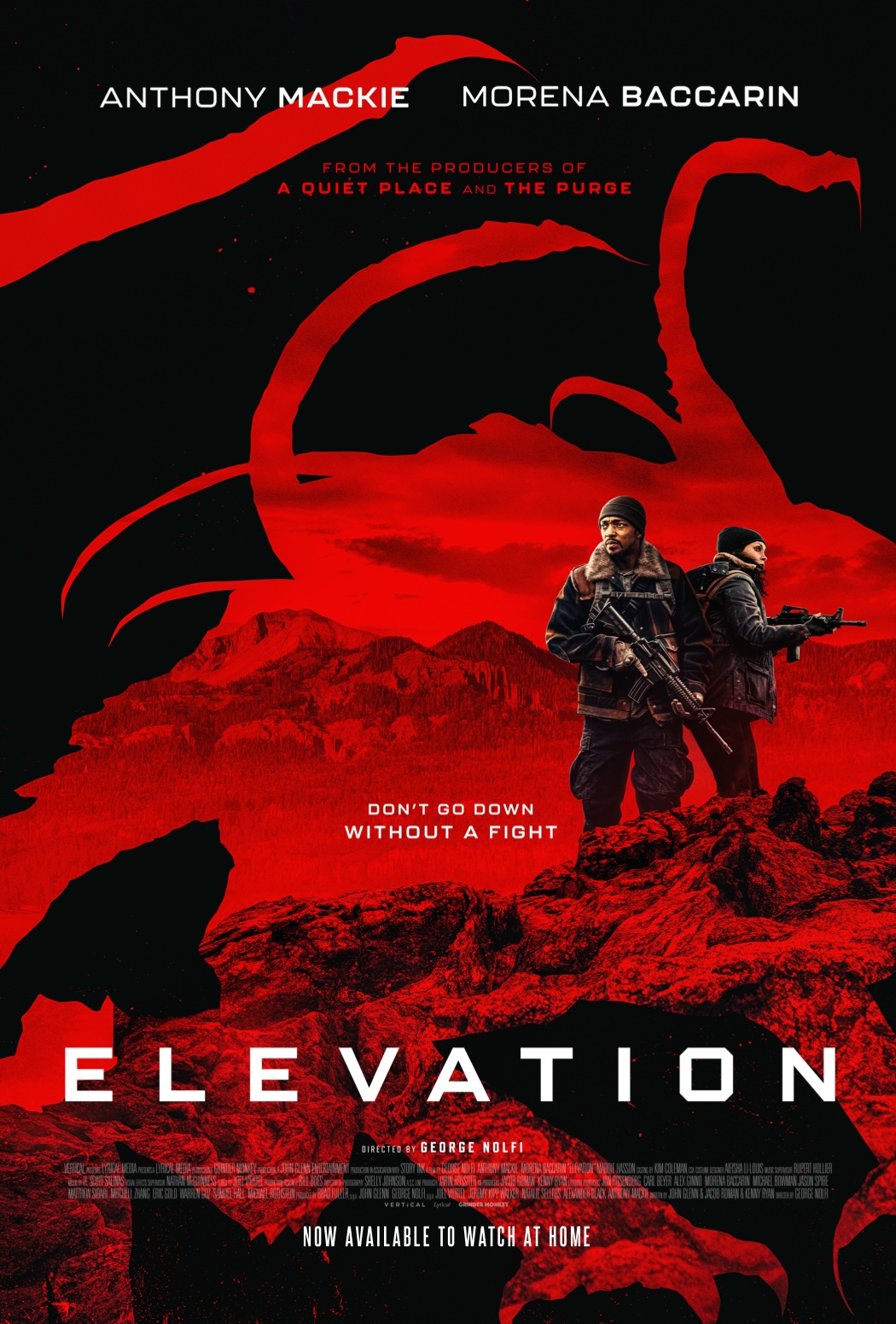 Elevation | Official Website | November 08 2024