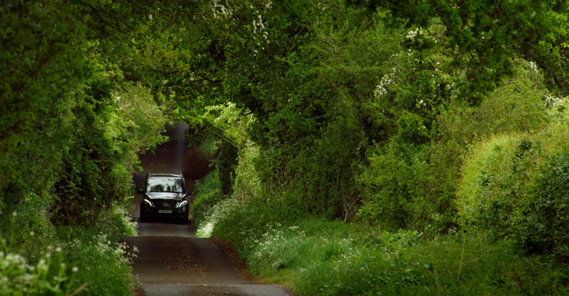 My Mother's Wedding | Official Website | August 08 2025